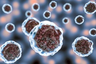 Can Colonoscopy Detect Pancreatic Cancer?